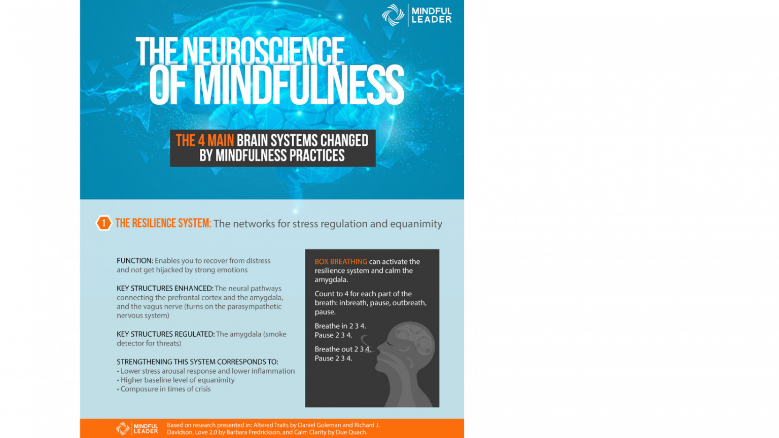 The Neuroscience of Mindfulness 1 of 4 - Leadership Solutions International